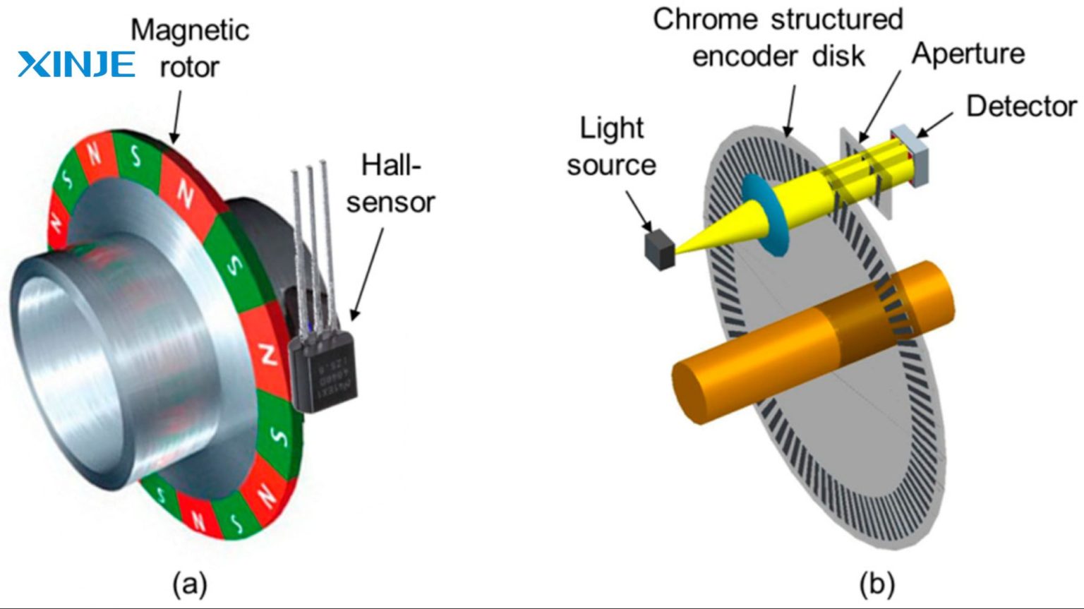 What is the Encoder? How do encoders work?